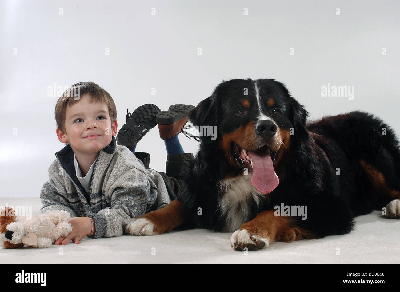 child with dog Stock Photo - Alamy