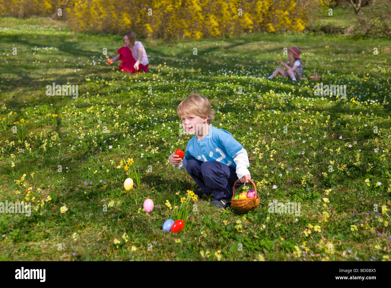 Boy gathering eggs hi-res stock photography and images - Alamy