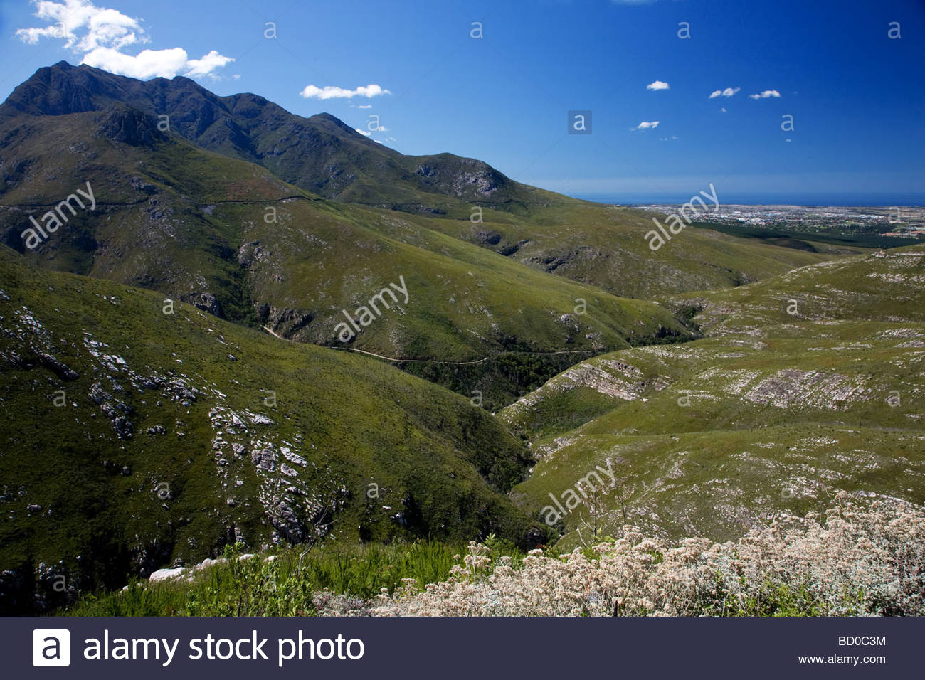 George South Africa Western Cape Stock Photos & George South Africa ...