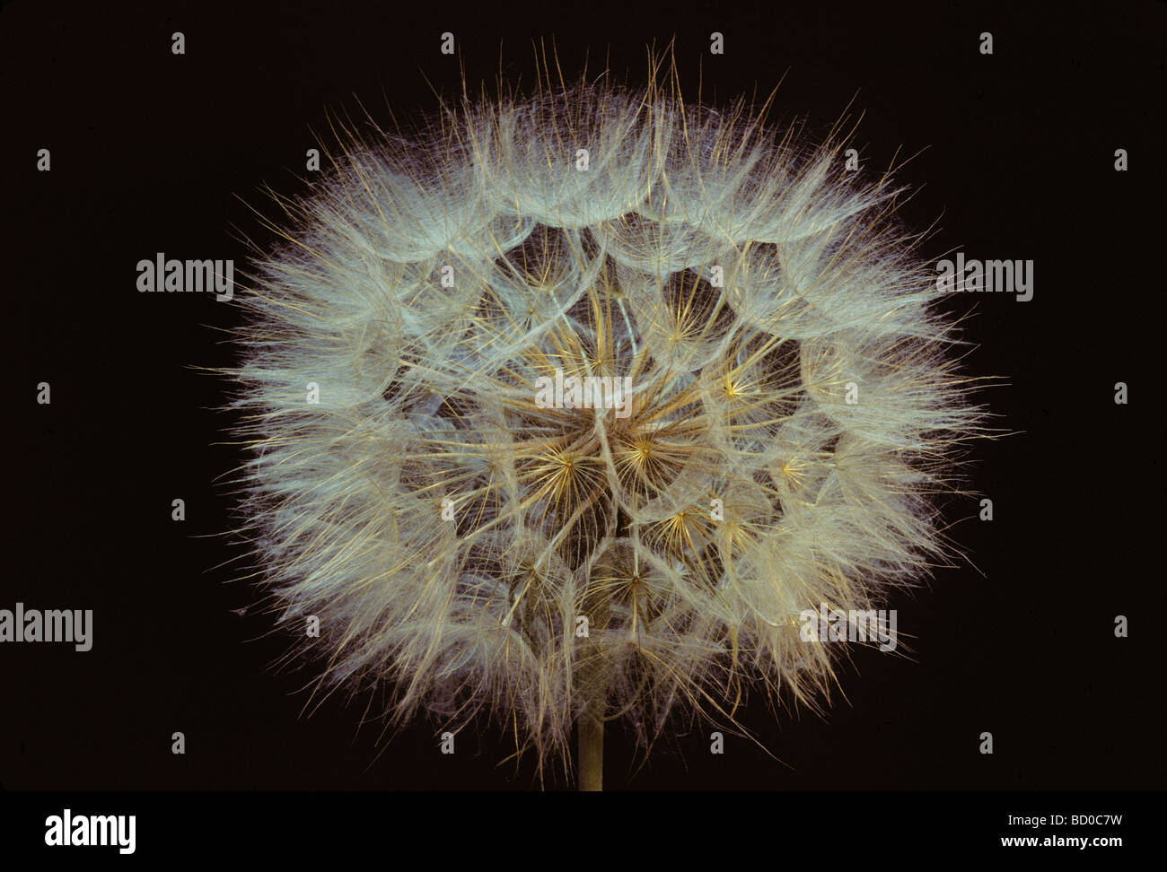Globe network layers hi-res stock photography and images - Alamy