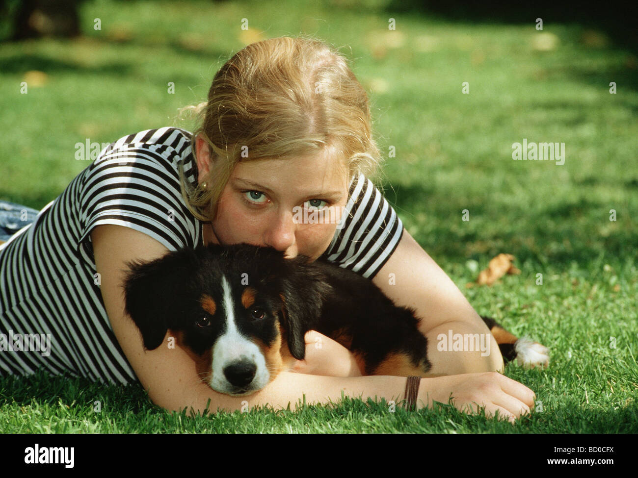 girl with Bernese mountain dog puppy Stock Photo - Alamy