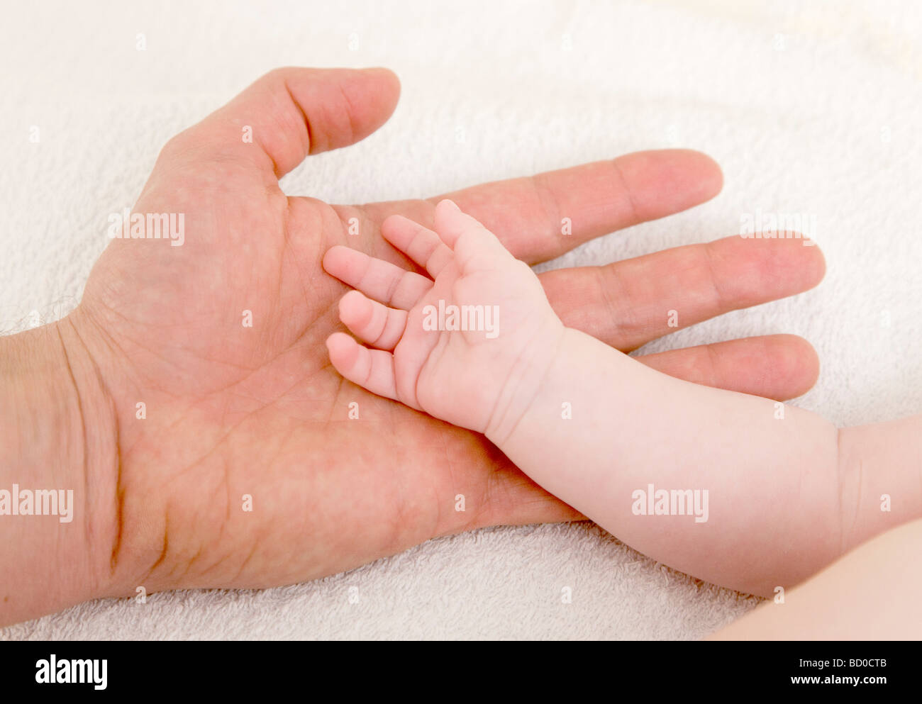 hands of father and baby touching Stock Photo - Alamy