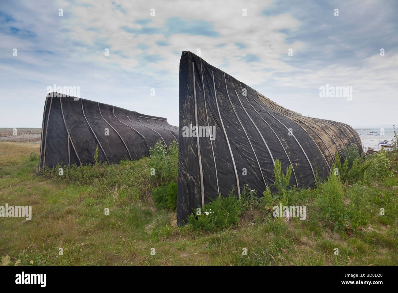 Inverted hull hi-res stock photography and images - Alamy
