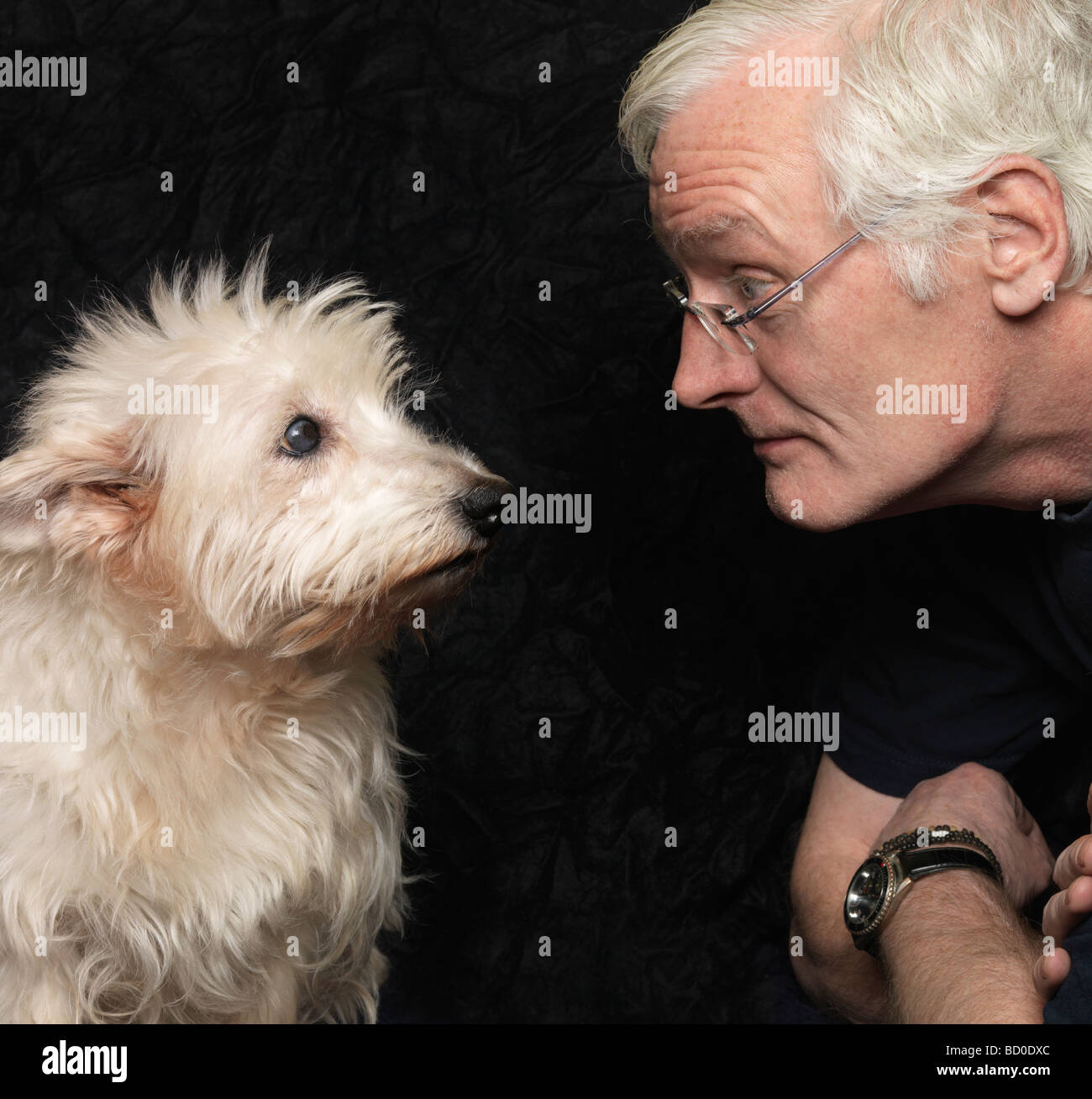 Portrait of man and pet dog looking at each other hi-res stock ...