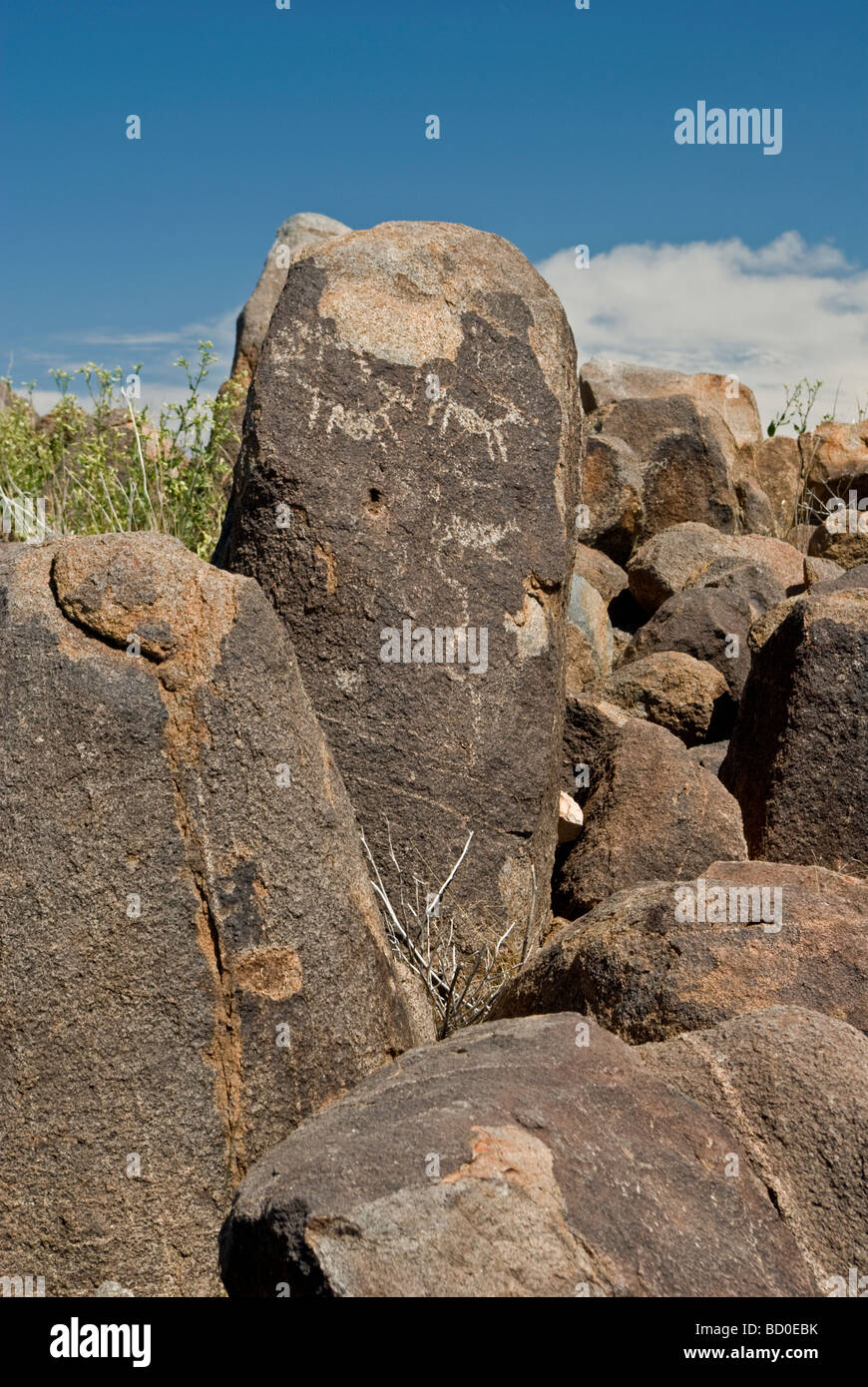 Signal hill park hi-res stock photography and images - Alamy