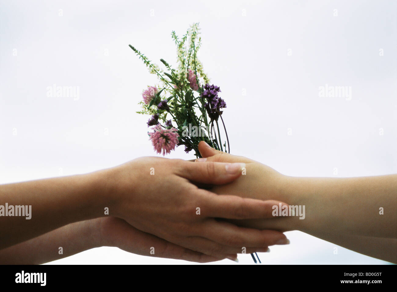Handing out flowers hi-res stock photography and images - Alamy