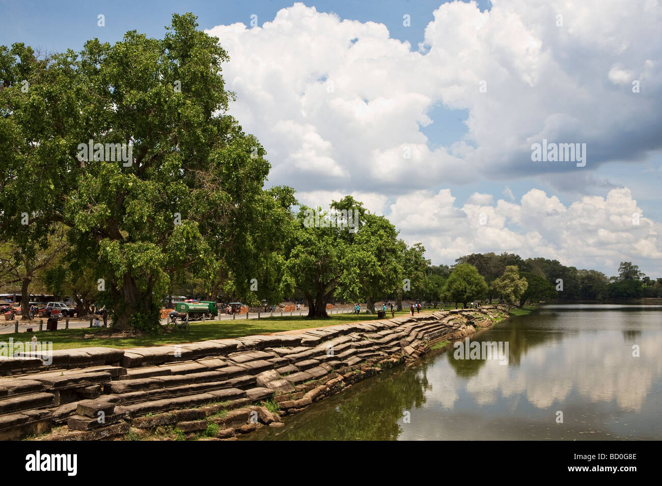Trees lining the banks of the moat around Angkor Wat in Cambodia Stock ...