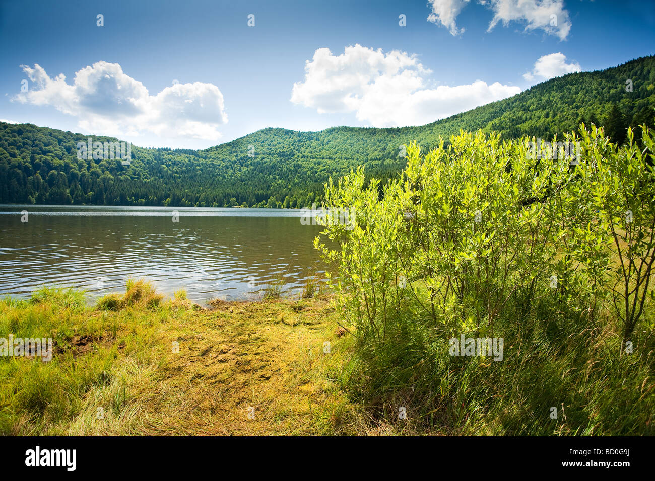 Saint Ana lake in Romania the only volcanic lake in Europe formed in a ...