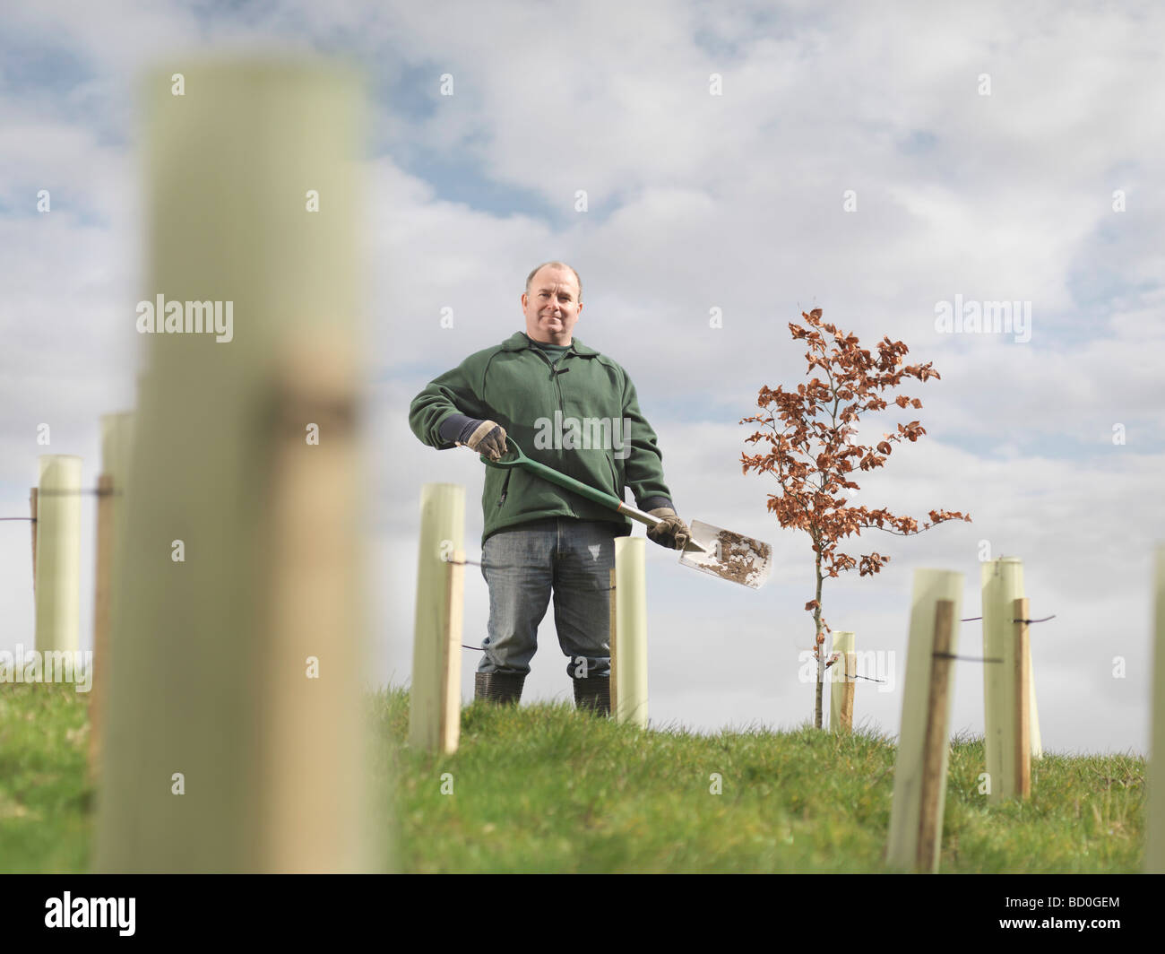 Preservation tree hi-res stock photography and images - Alamy