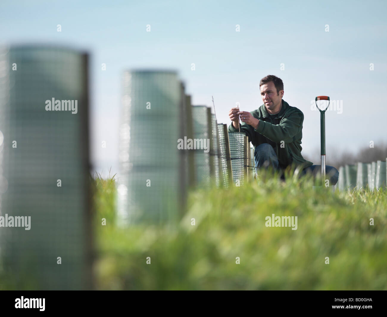 Man tending to young trees hi-res stock photography and images - Alamy