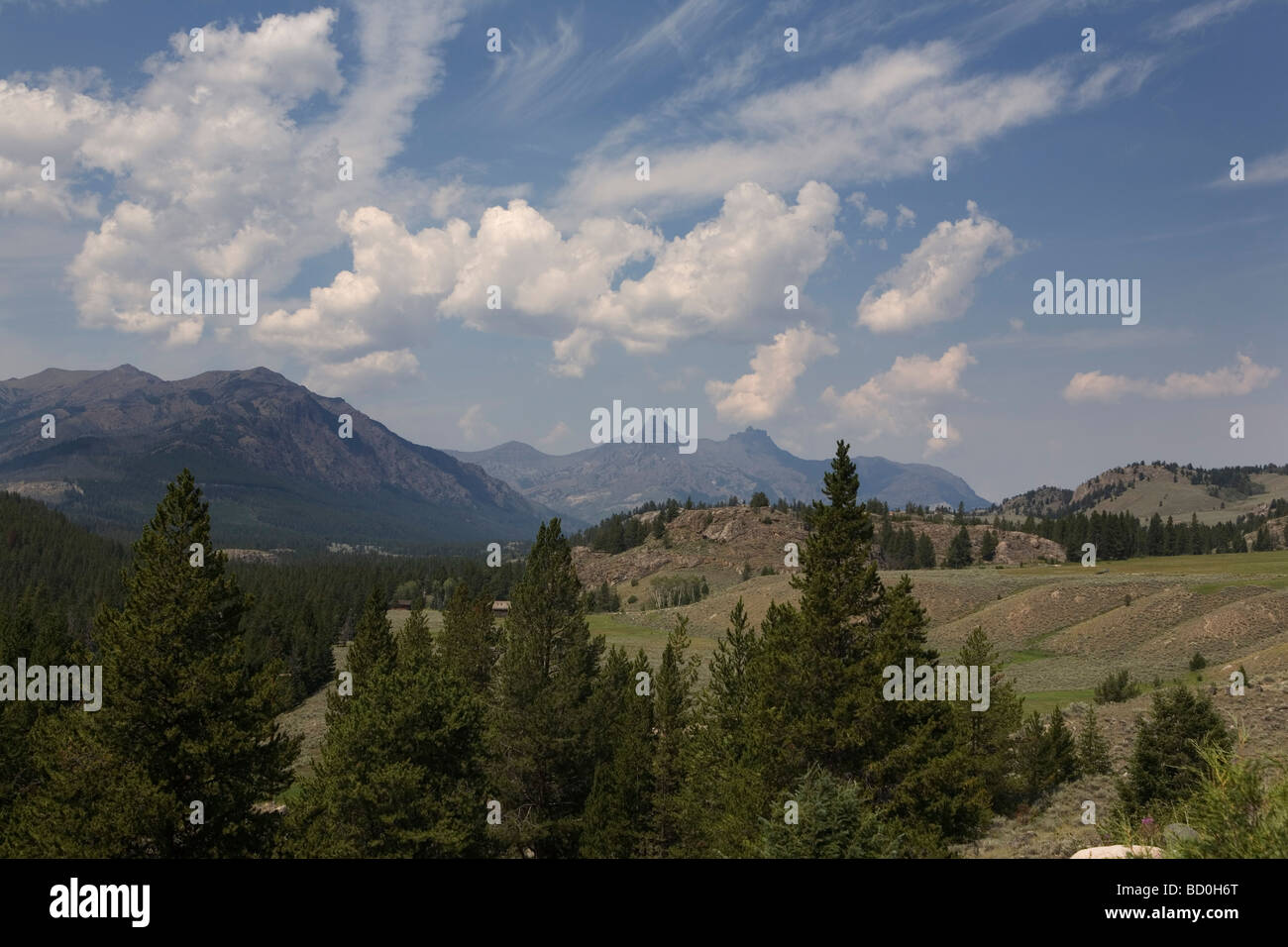 View in the Shoshone area from the Beartooth Scenic Byway towards Pilot ...