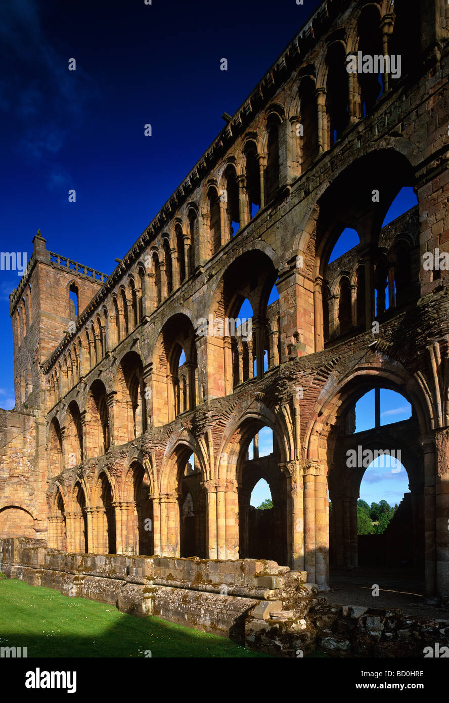 A late summer evening view of Jedburgh Abbey, Jedburgh, Scottish ...