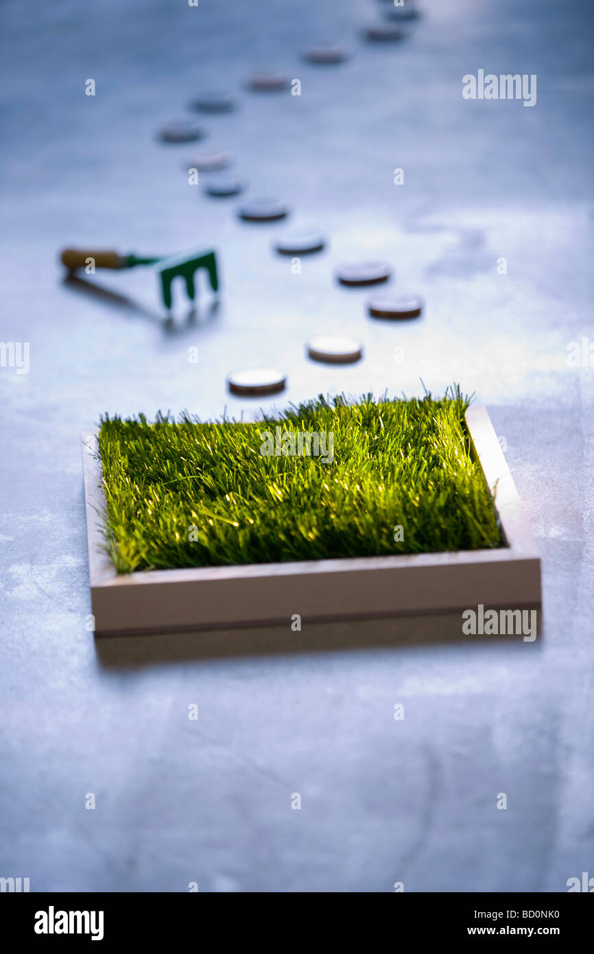 Small patch of lawn indoors Stock Photo - Alamy