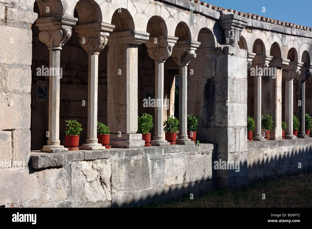 Apollonia Albania High Resolution Stock Photography and Images - Alamy