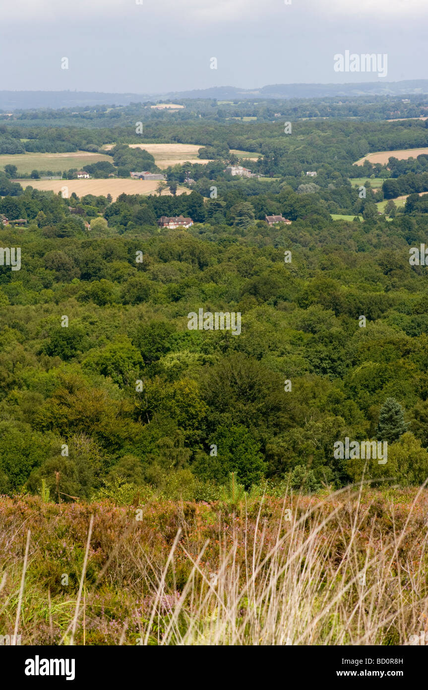 Ashdown forest view hi-res stock photography and images - Alamy