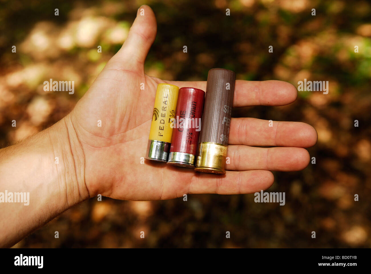 Three empty gun shells Stock Photo - Alamy