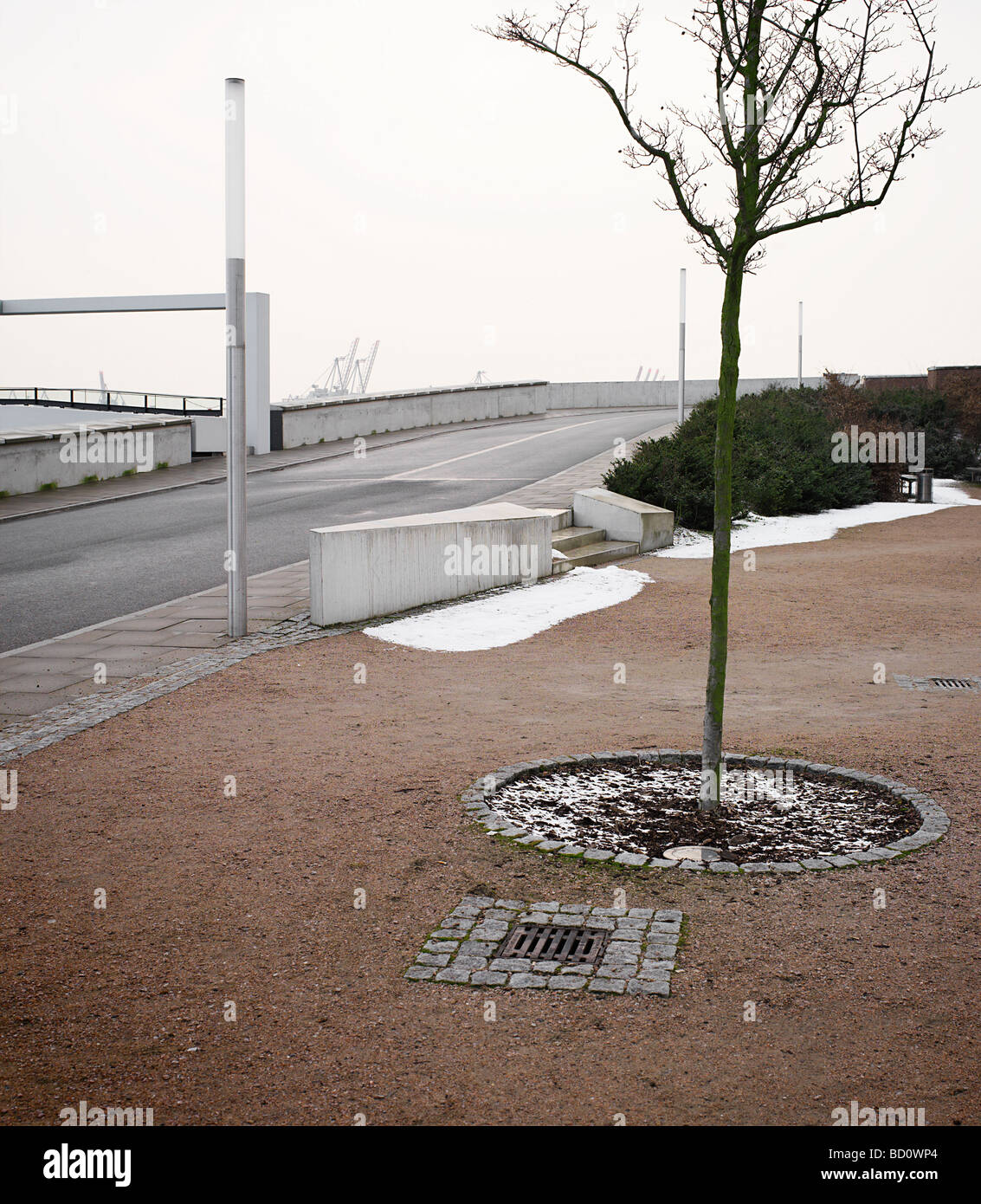 snow on desolate landscape, barren tree Stock Photo - Alamy