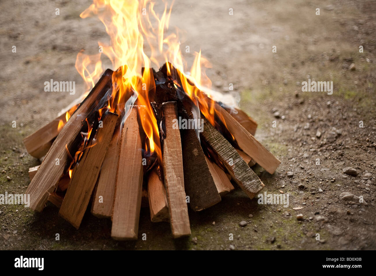 Close up of burning camp fire shallow depth of field Stock Photo - Alamy
