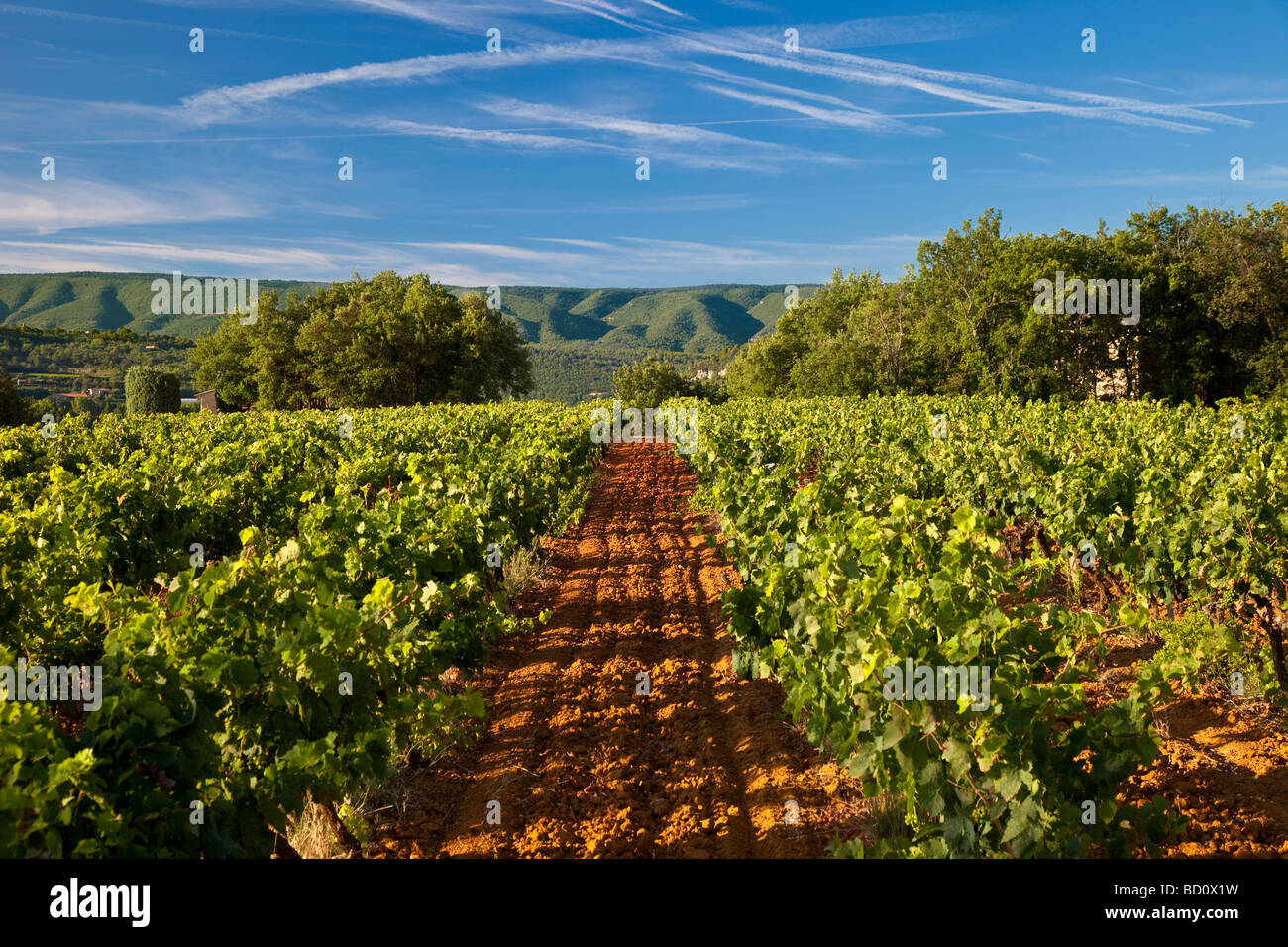 Early morning near Gordes, Provence France Stock Photo - Alamy