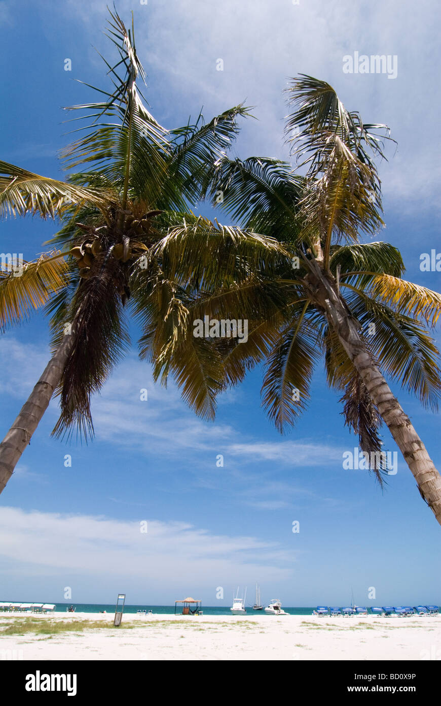 Coche playa hi-res stock photography and images - Alamy