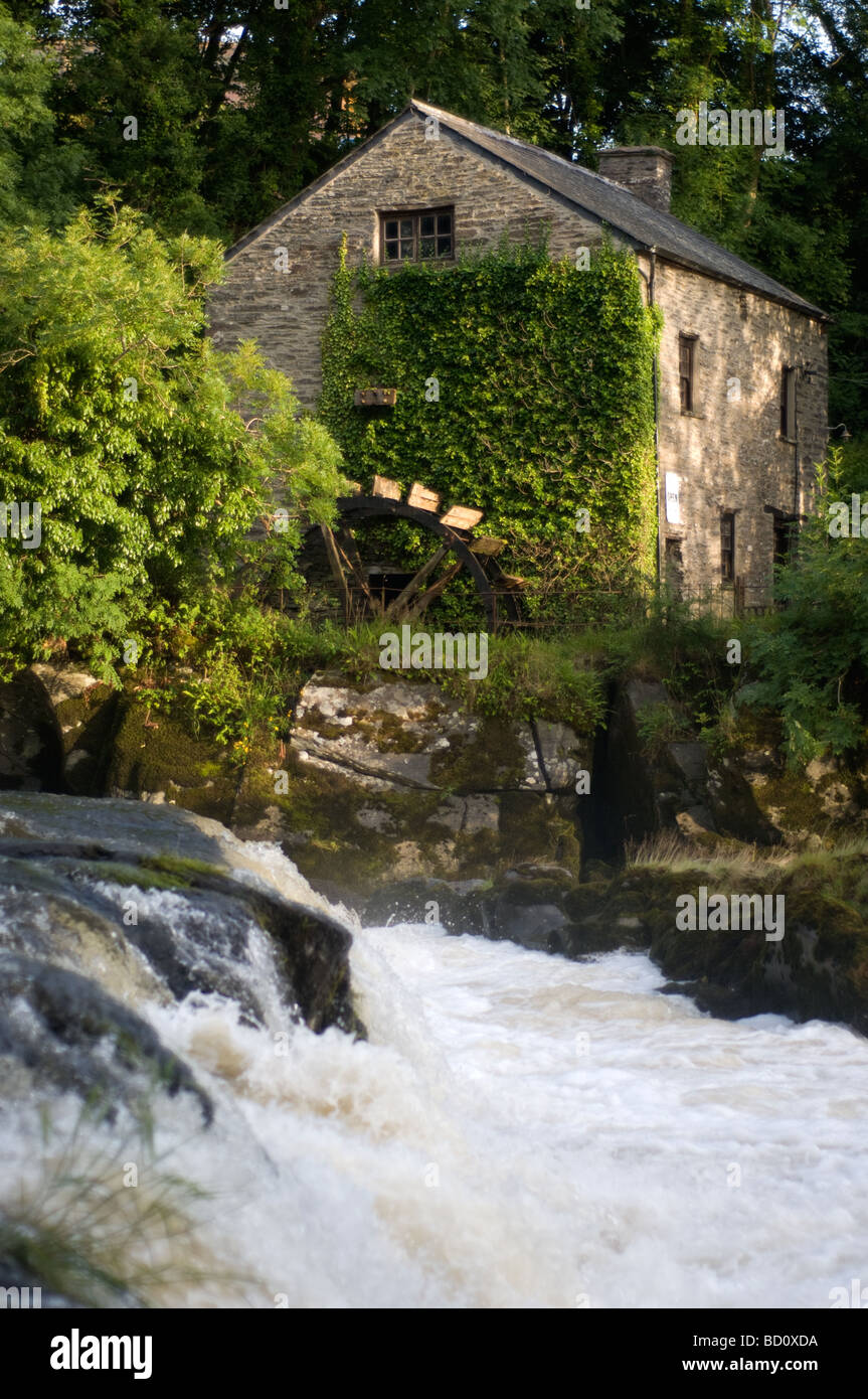 Cenarth falls hi-res stock photography and images - Alamy