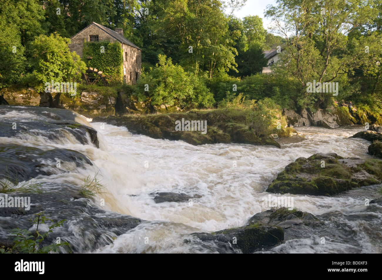 Cenarth falls hi-res stock photography and images - Alamy