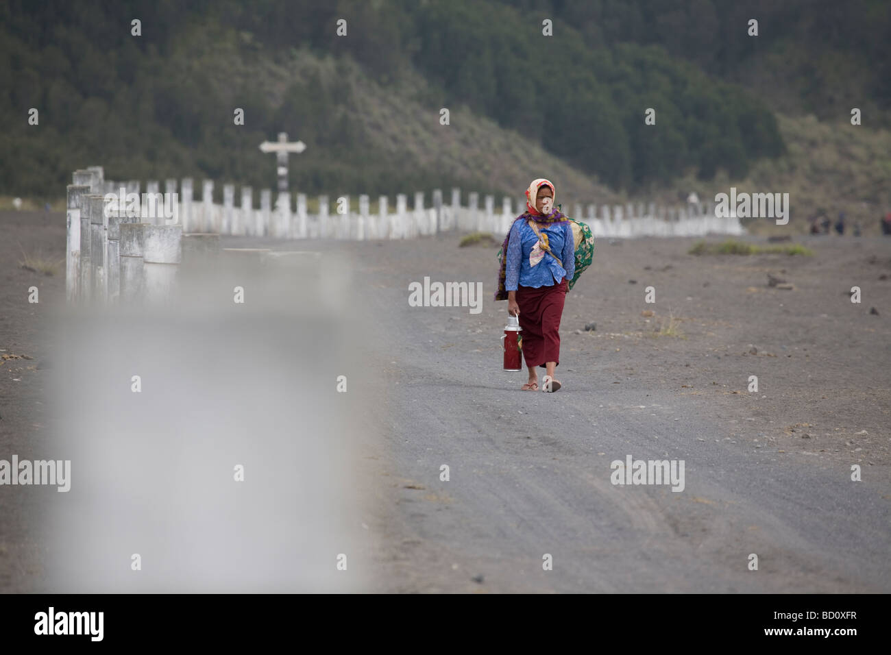 A Javan woman walks home after a hard day's work Stock Photo - Alamy