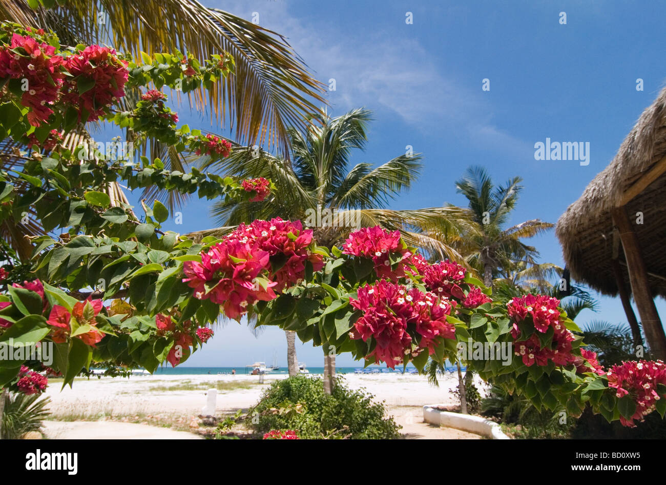 Coche playa hi-res stock photography and images - Alamy