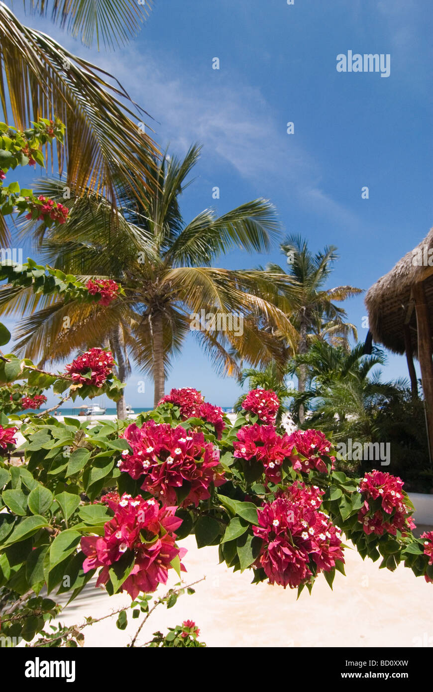 Coche playa hi-res stock photography and images - Alamy