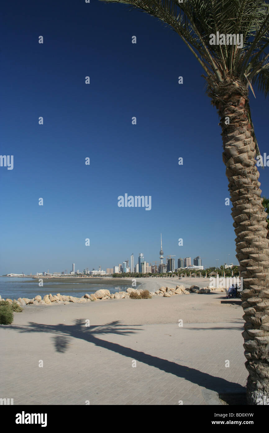 From palm beach hi-res stock photography and images - Alamy