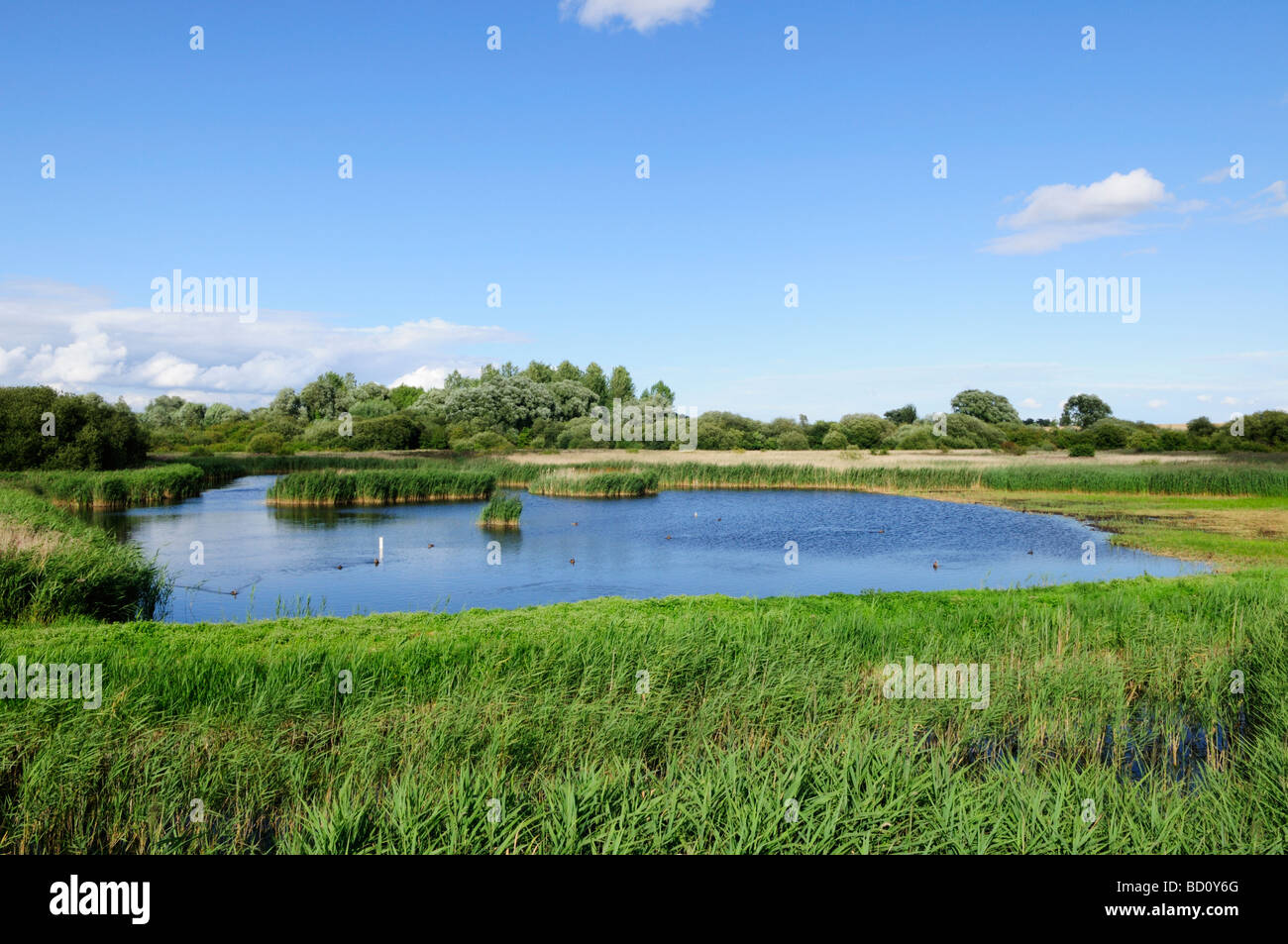 Fowlmere rspb nature reserve hi-res stock photography and images - Alamy
