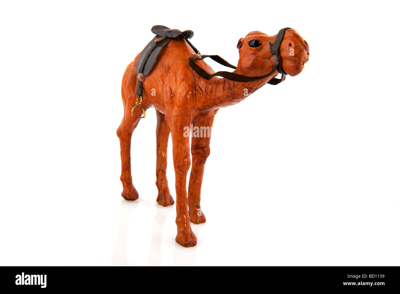 Moroccan camel hi-res stock photography and images - Alamy