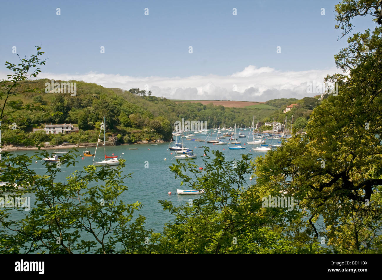 Tranquil scene at Noss Mayo, south Devon Stock Photo - Alamy