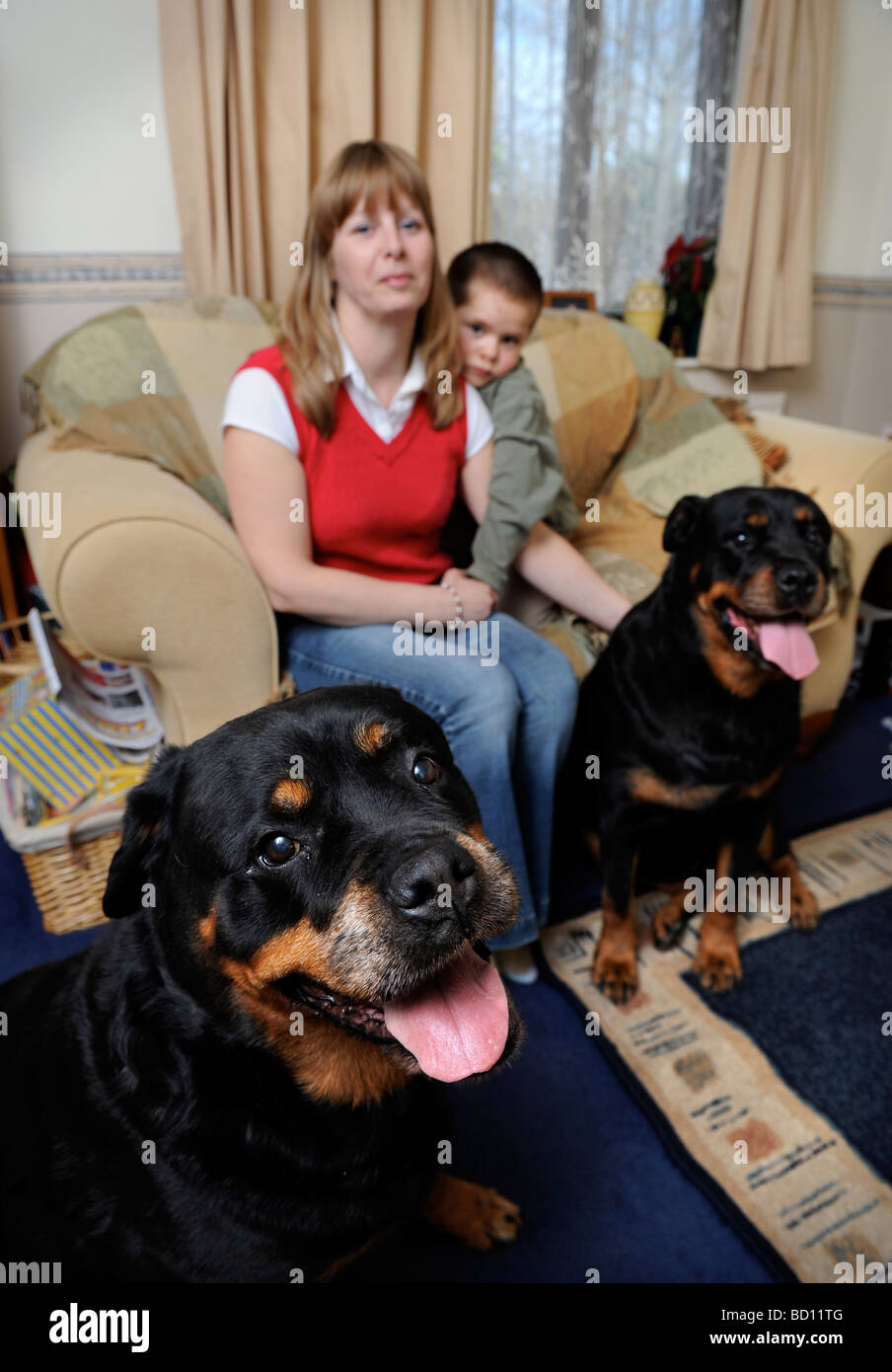A MOTHER AND SON WITH THEIR PET ROTTWEILERS UK Stock Photo - Alamy