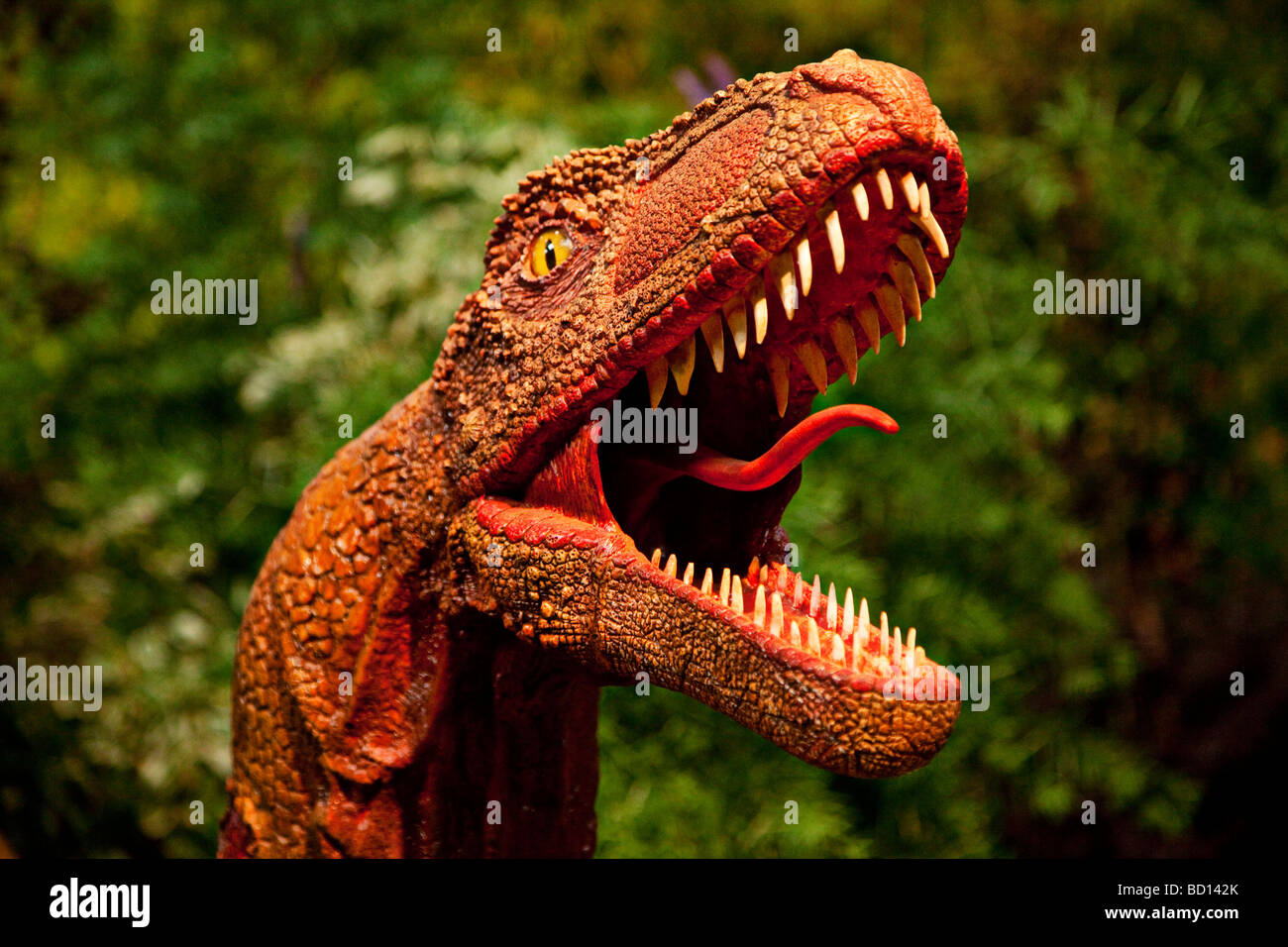 Raptor dinosaur hi-res stock photography and images - Alamy