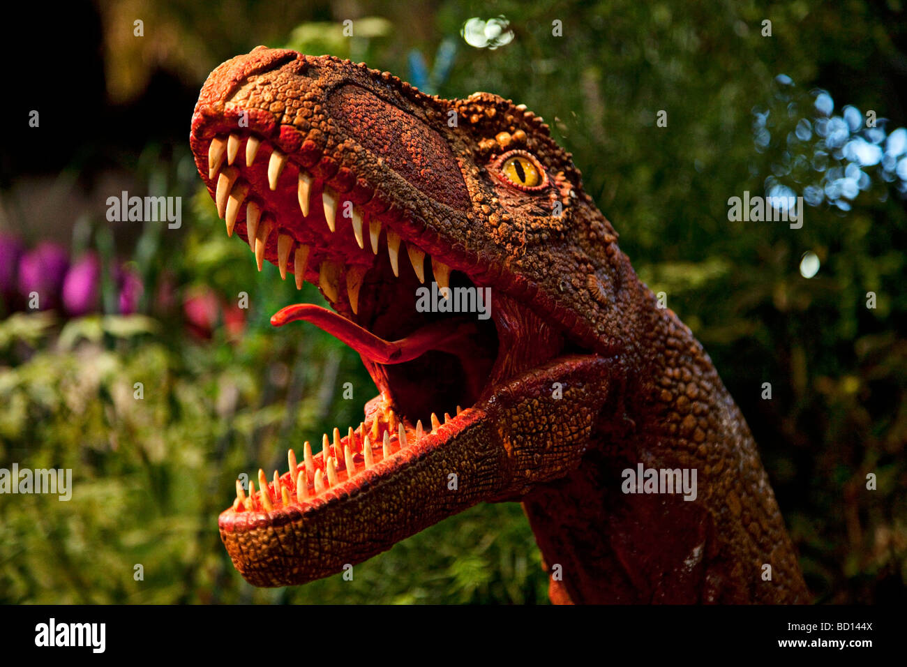 Raptor dinosaur hi-res stock photography and images - Alamy