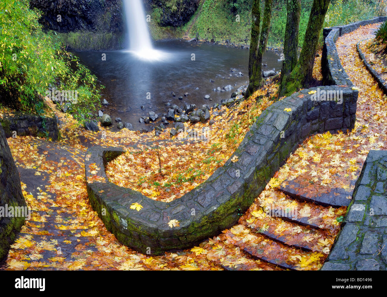 Horsetail falls and rock path with fall colored maple leaves Columbia ...