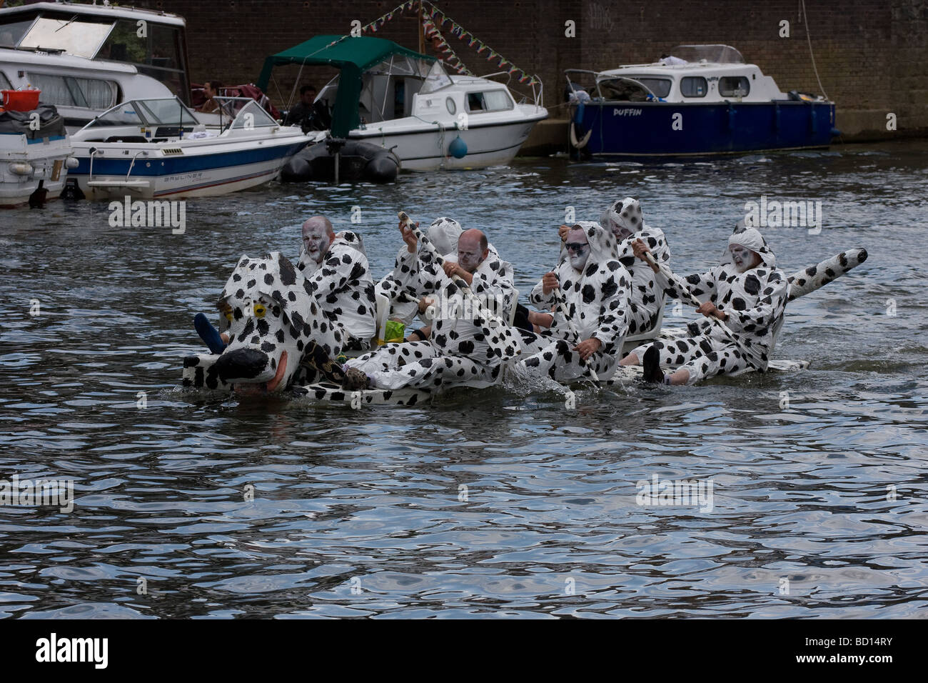 maidstone river festival medway kent england uk europe Stock Photo - Alamy