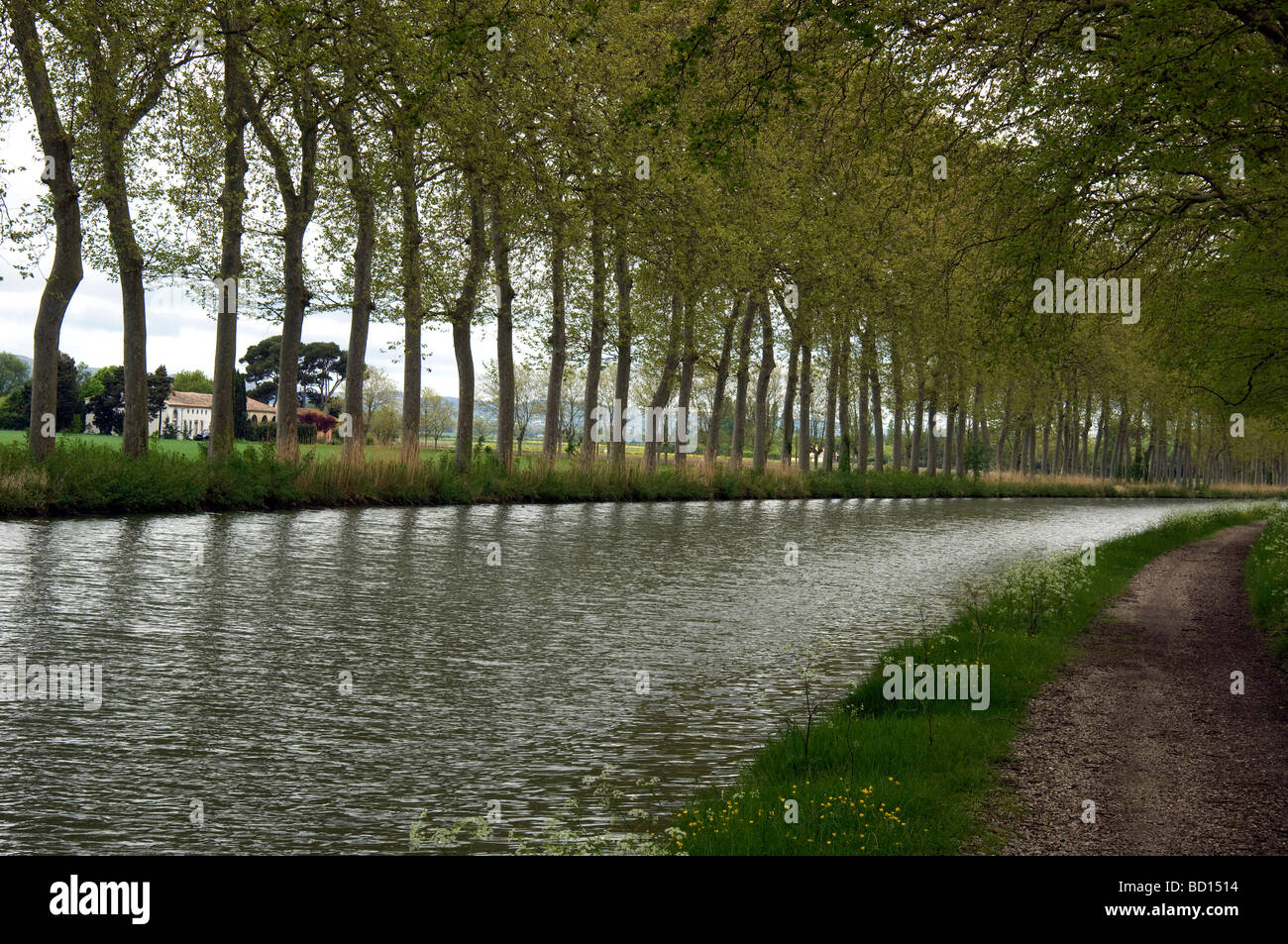 Trees Lining Canal Stock Photo - Alamy