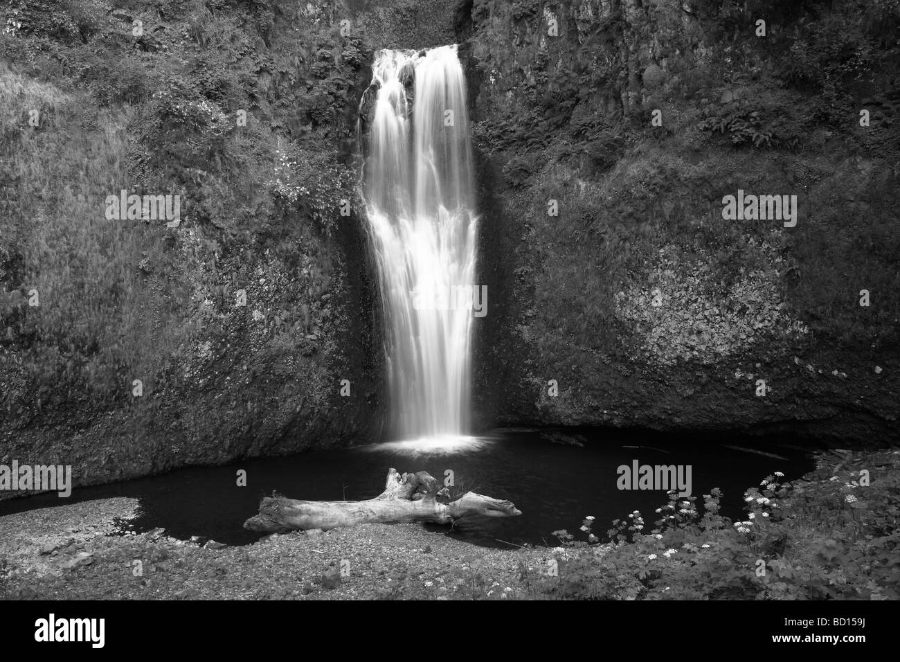Lower Multnomah Falls Stock Photo - Alamy