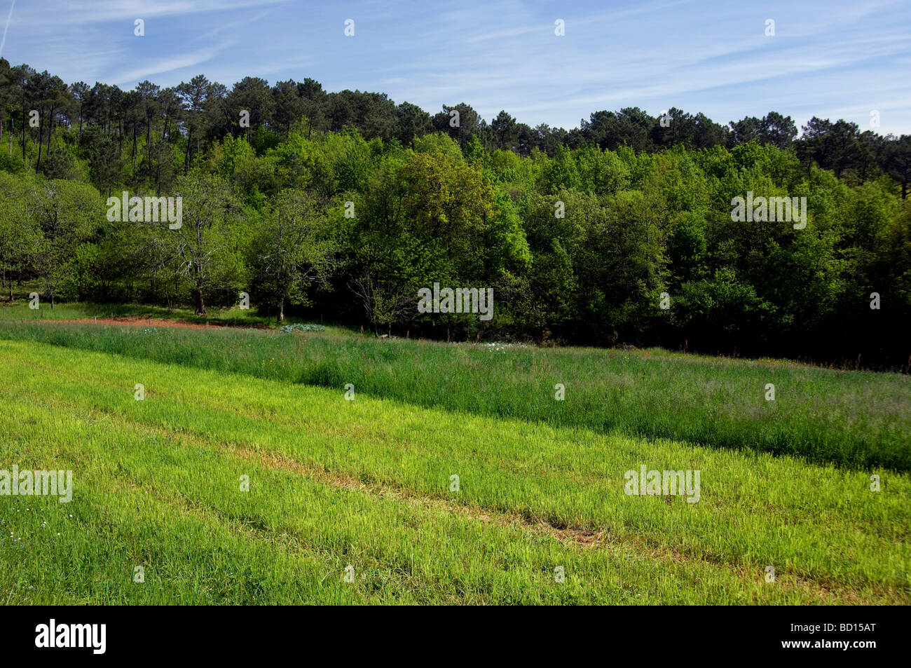 Land rich hi-res stock photography and images - Alamy