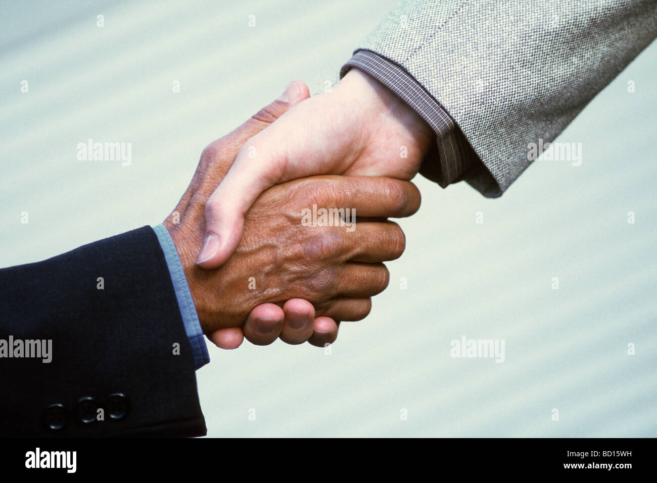 Handshake between professionals Stock Photo - Alamy