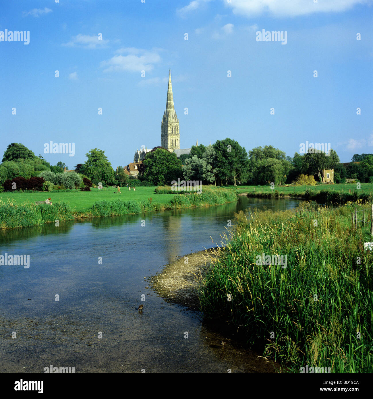 View of Salisbury Cathedral overlooking the River Avon from the Water ...