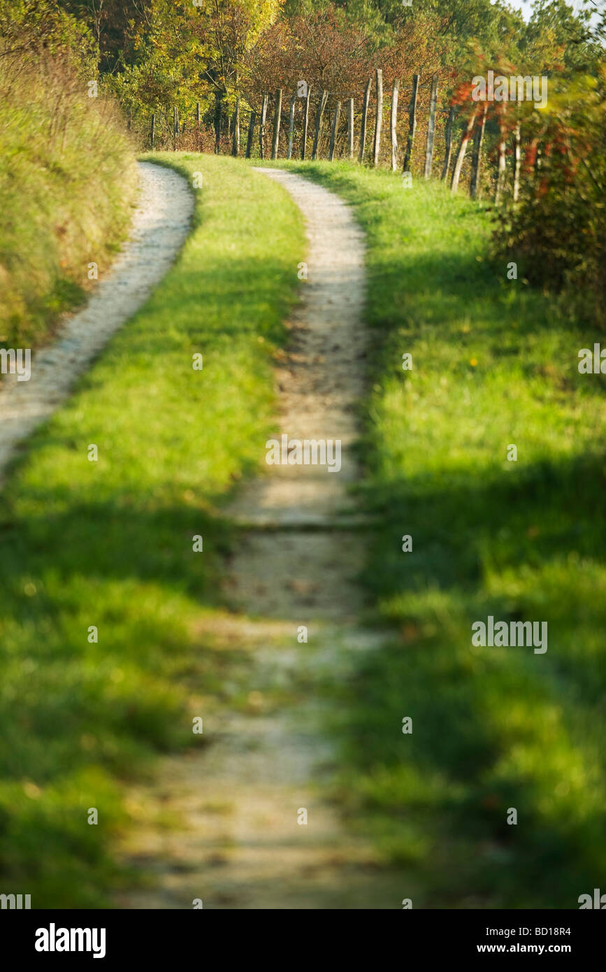 Path through rural landscape Stock Photo - Alamy