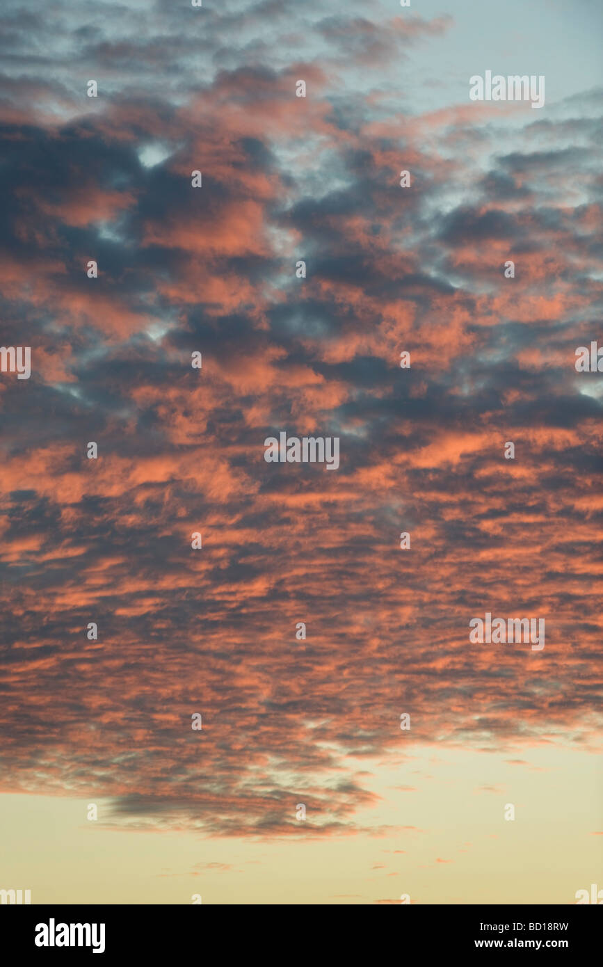 Altocumulus clouds at sunset Stock Photo - Alamy