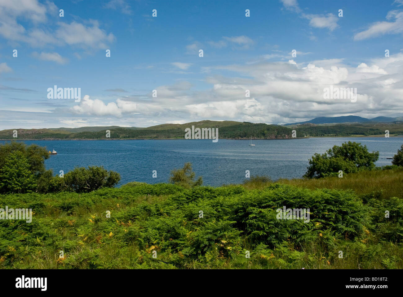 Poolewe flowers hi-res stock photography and images - Alamy