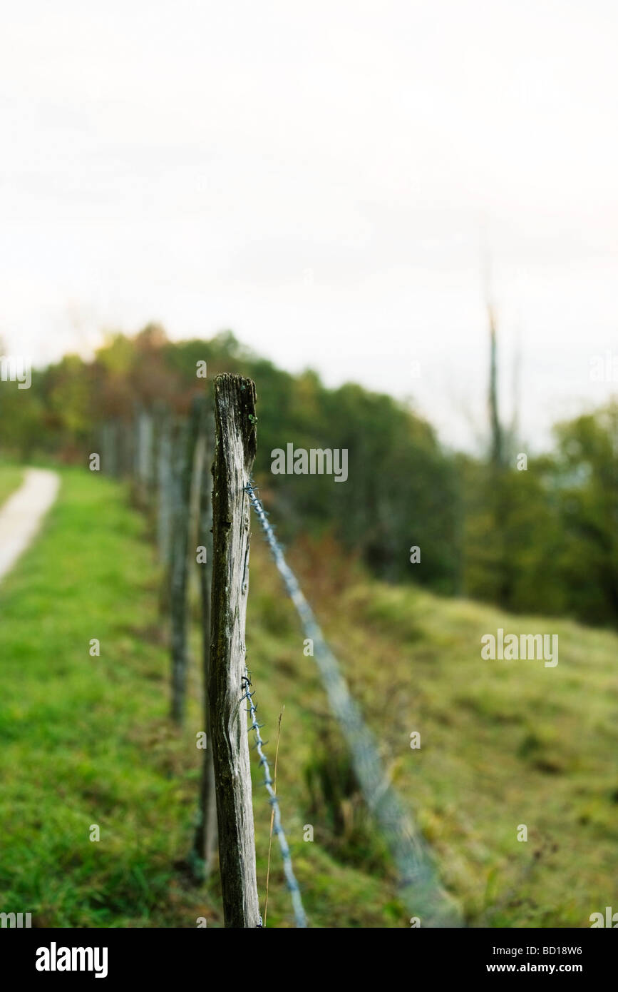 Wire fence bordering pasture, close-up Stock Photo - Alamy