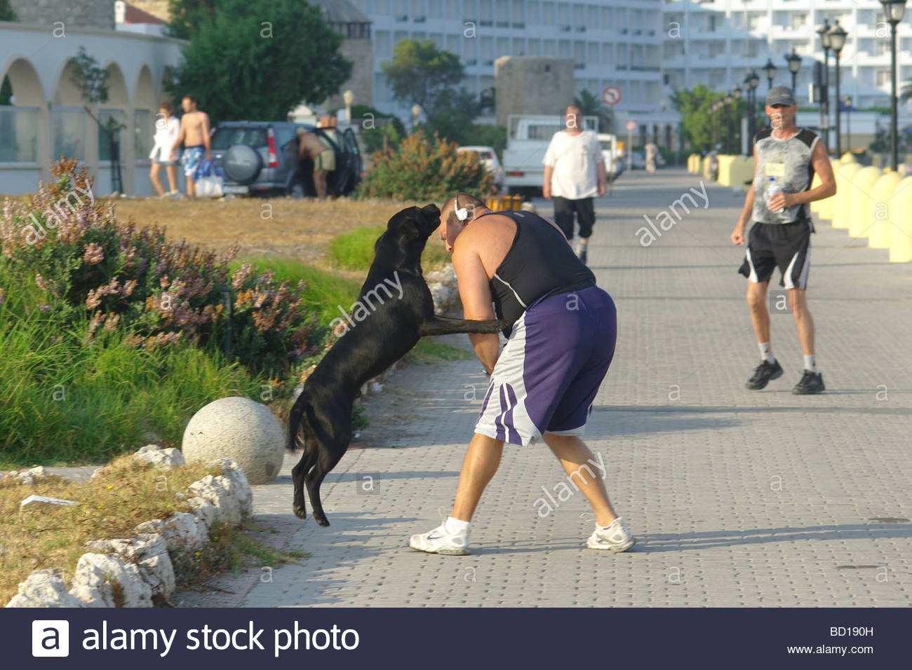 Man Jog Dog Stock Photos & Man Jog Dog Stock Images - Alamy