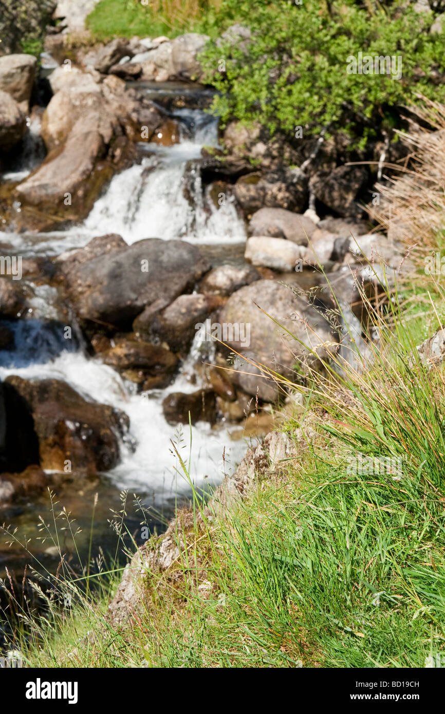 A small stream Stock Photo - Alamy