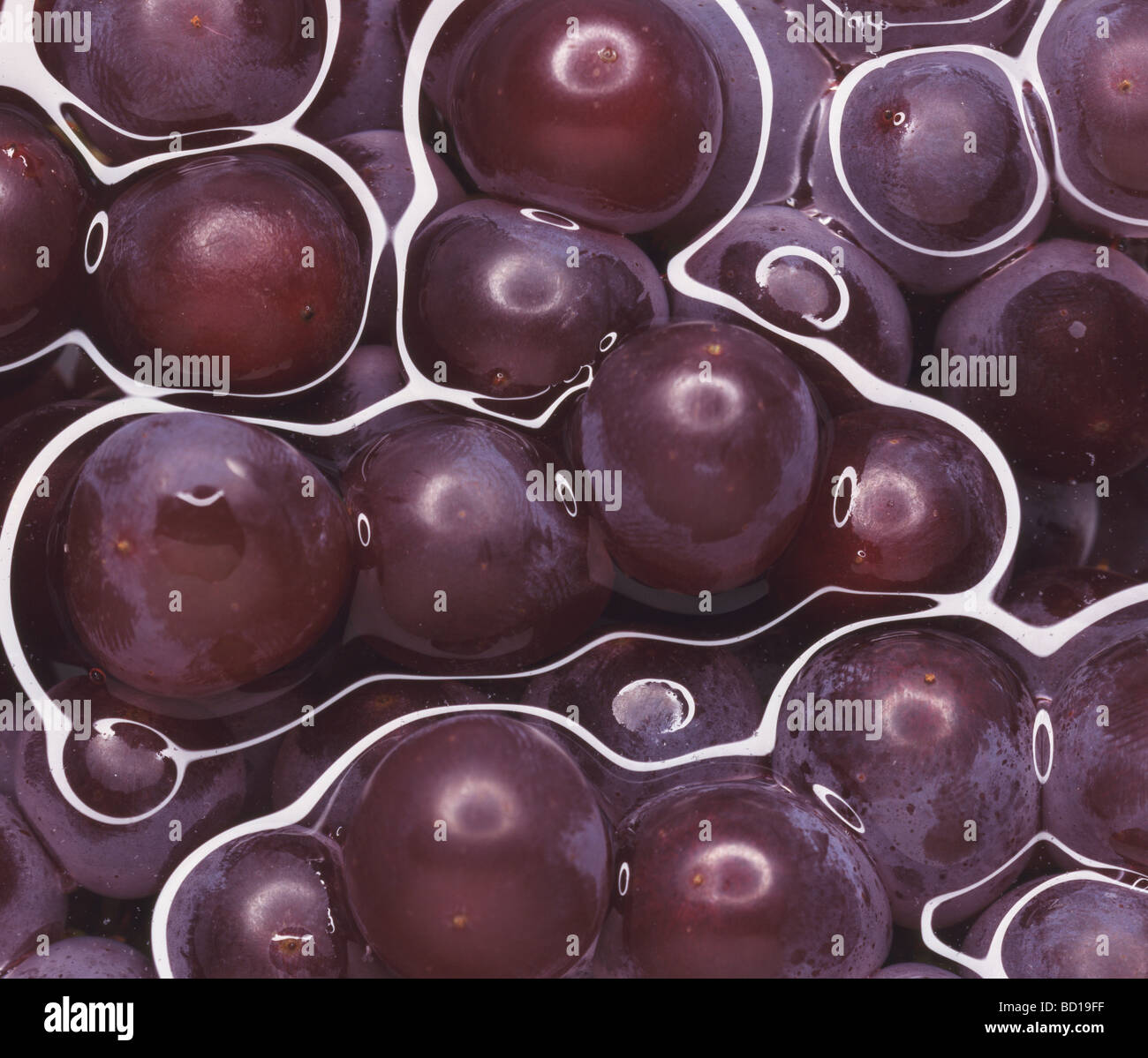 Grapes in water Stock Photo - Alamy